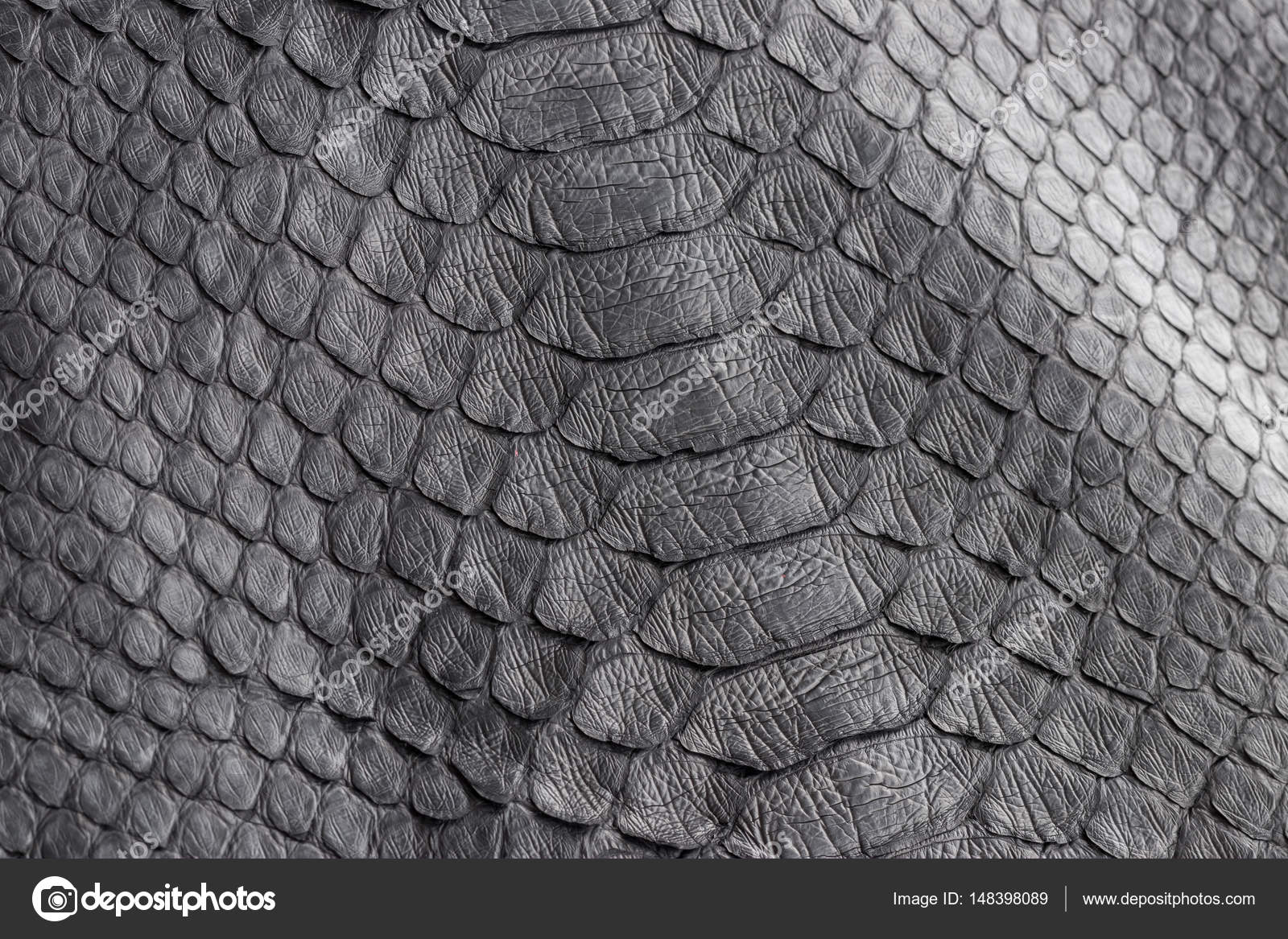 Reptile snake texture closeup, fashion zigzag snakeskin python picture ...