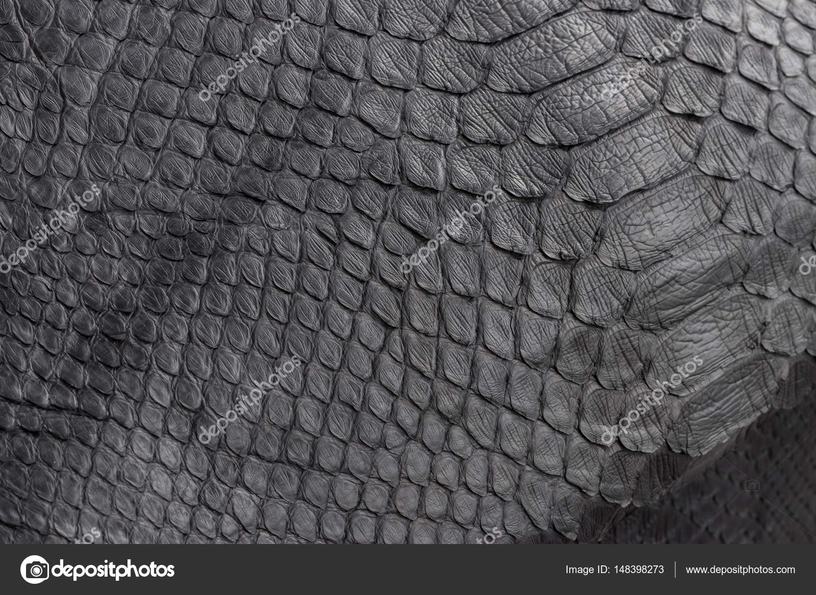 Reptile snake texture closeup, fashion zigzag snakeskin python picture ...