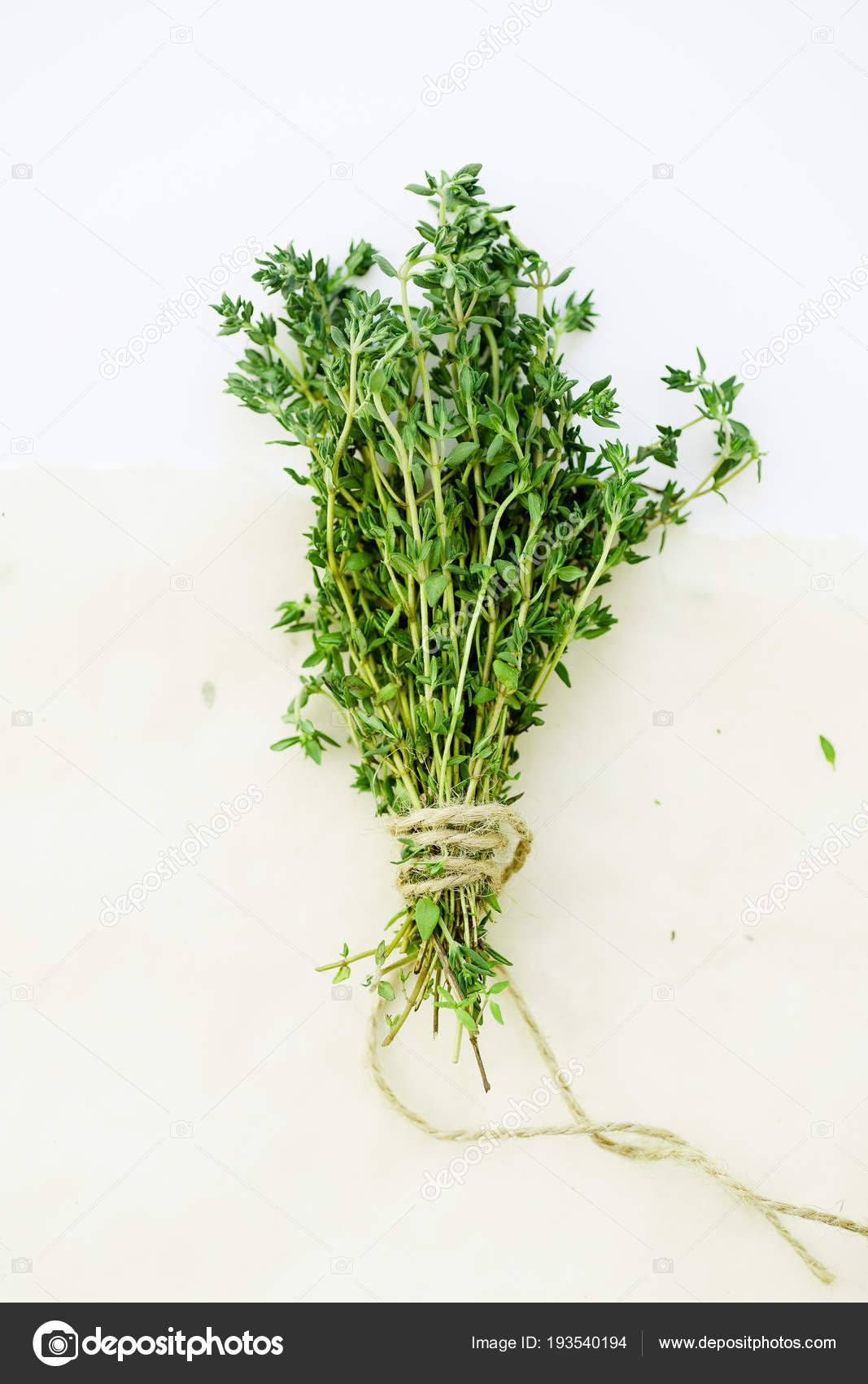 Bunch Fresh Thyme Leaves Tied String Kitchen Parchment Paper Sheet ...