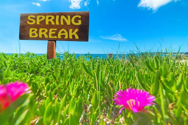 Spring break Stock Photos, Royalty Free Spring break Images | Depositphotos