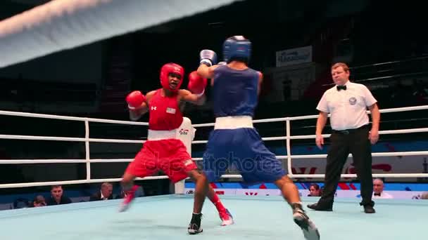 389 World boxing Stock Videos, 4K & HD Footage | Depositphotos