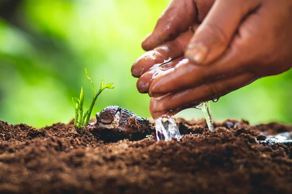 Steps nature Images - Search Images on Everypixel