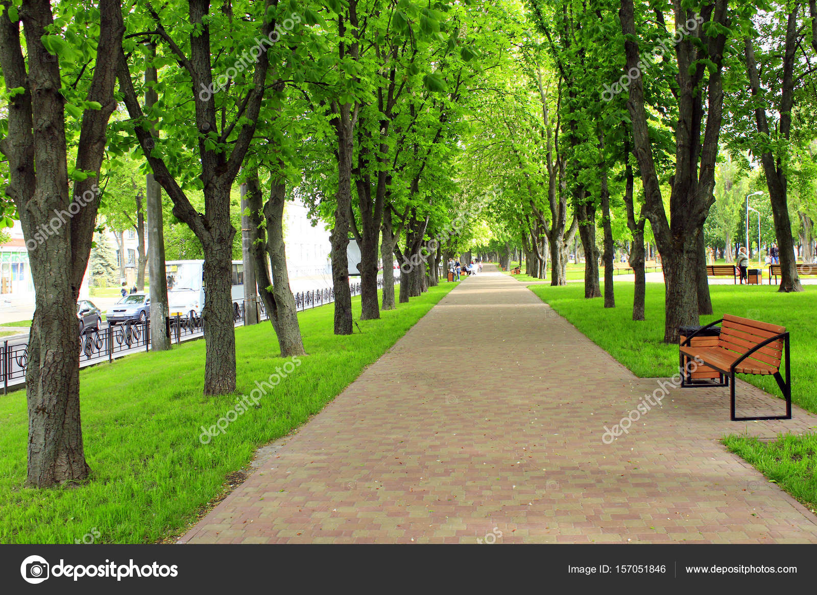 Beautiful park with nice promenade path and big green trees Stock Photo ...