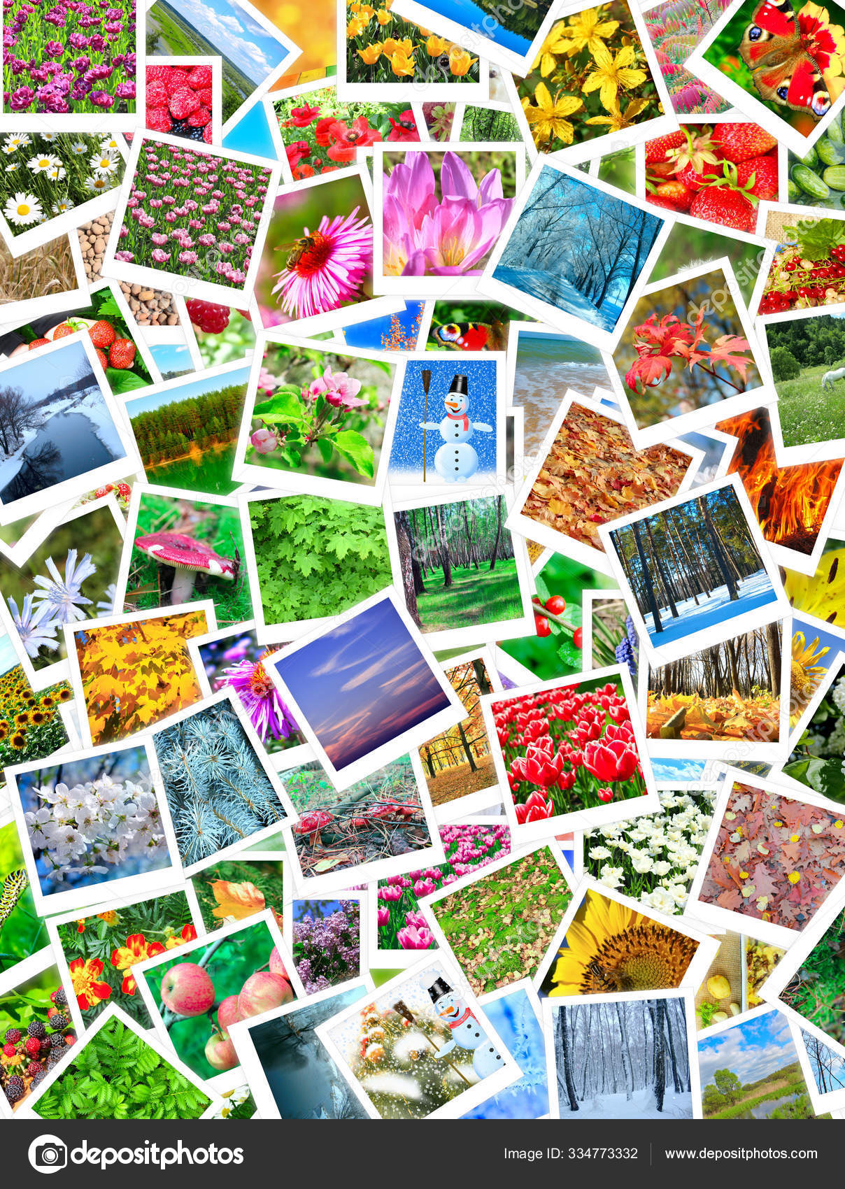 Different photos in big pile. Photographs of life — Stock Photo ...