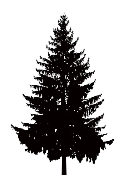 Silhouettes of fur-trees — Stock Vector © ufastudio #1951465