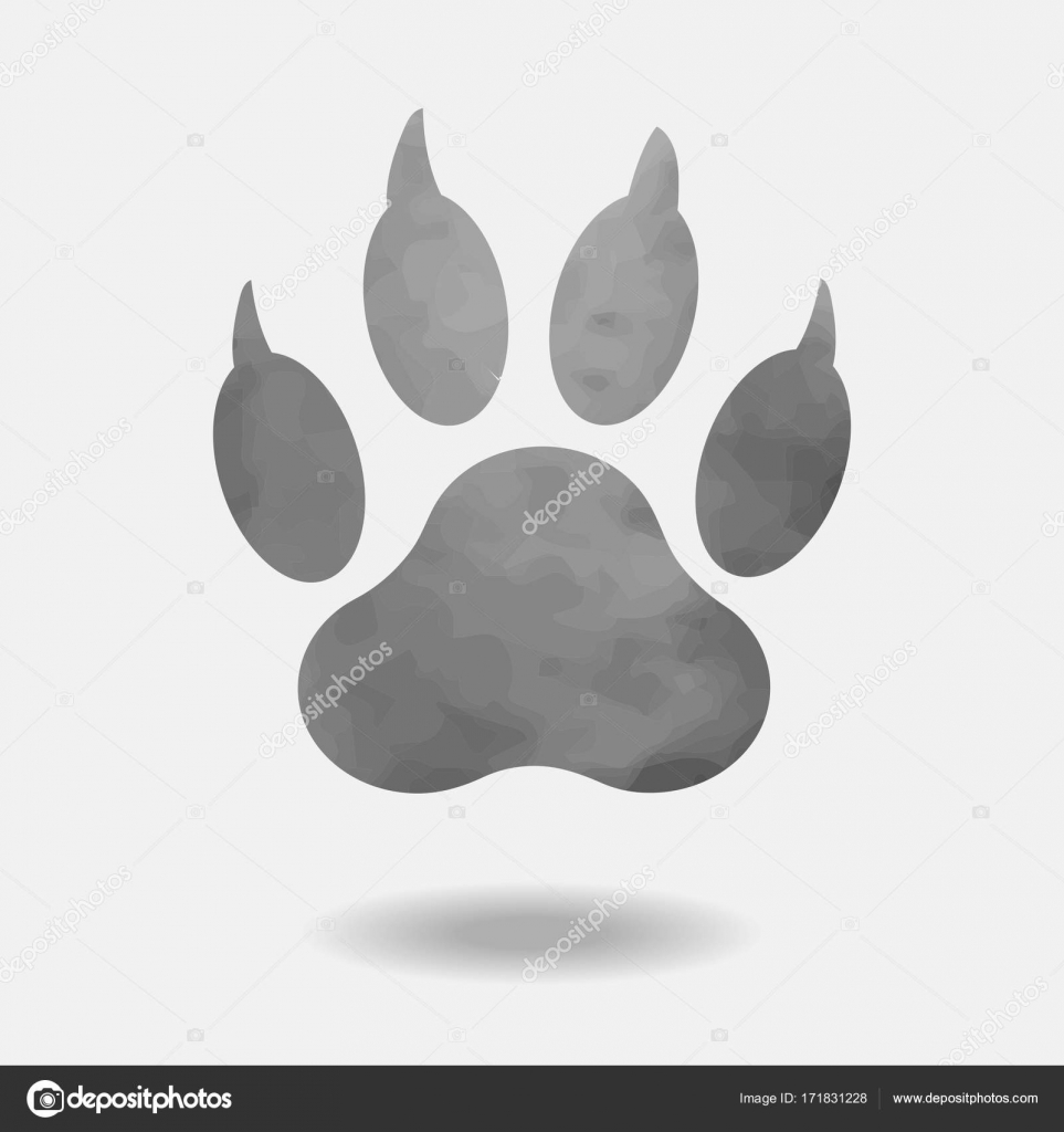 Trace paw of dog with shadow isolated on white background Vector. Stock ...