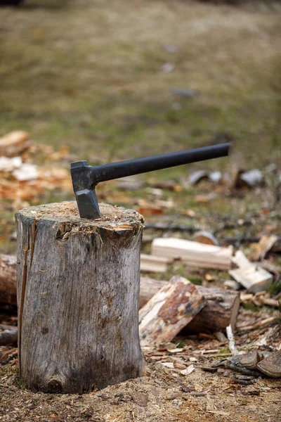 un hacha en un árbol. Herramienta para una toma de leña 2024