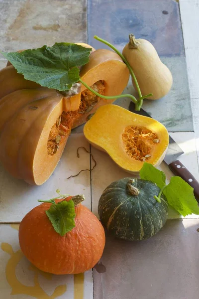 Fotos de Butternut gourd cut, Imagens de Butternut gourd cut sem ...