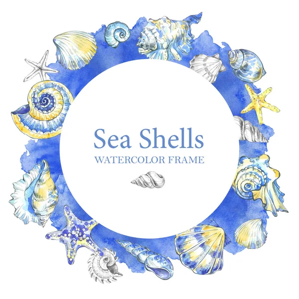 Seashell border Stock Photos, Royalty Free Seashell border Images ...