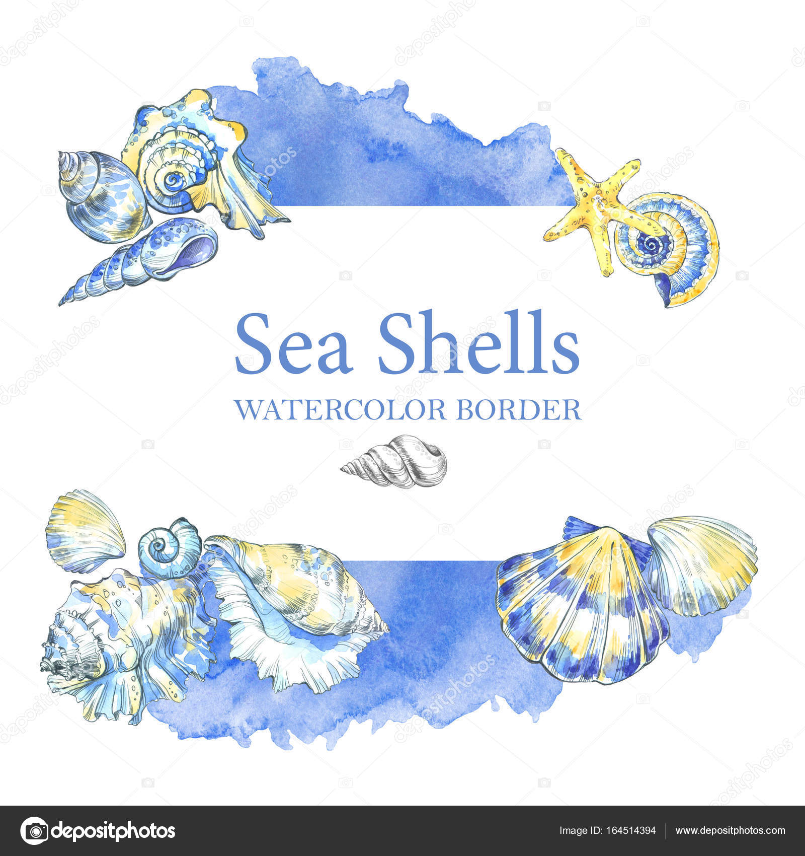Seashell Border Dunkirk New York Seashell Border Souvenir Greeting