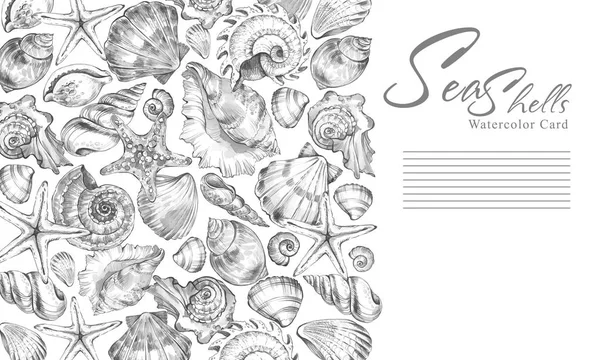 Hand painted seashells border. Watercolor decorative summer background ...