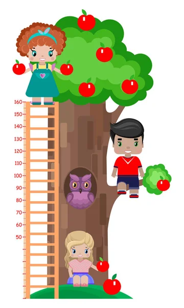 Growth chart child Vector Art Stock Images | Depositphotos