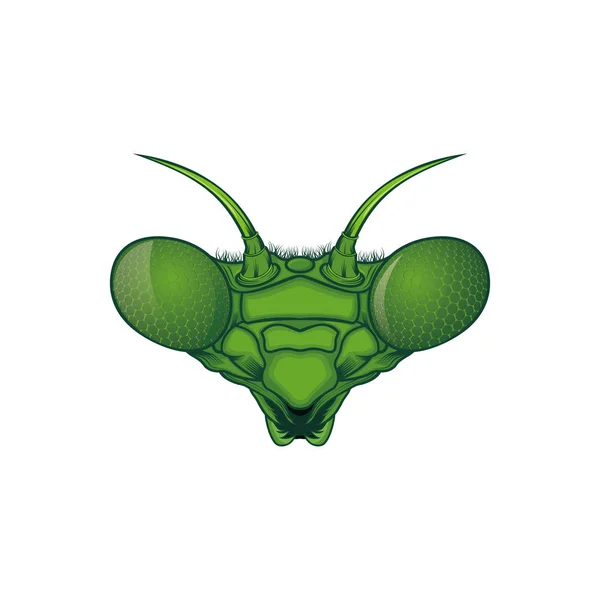 Spider Skull Vector Art — Stock Vector © Eko07 #222470166