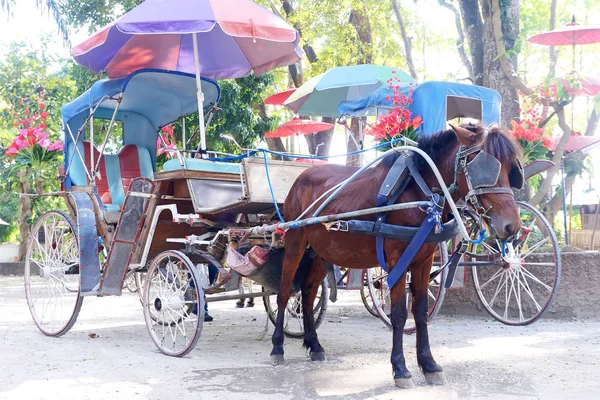 Horse carriage philippines Stock Photos, Royalty Free Horse carriage ...