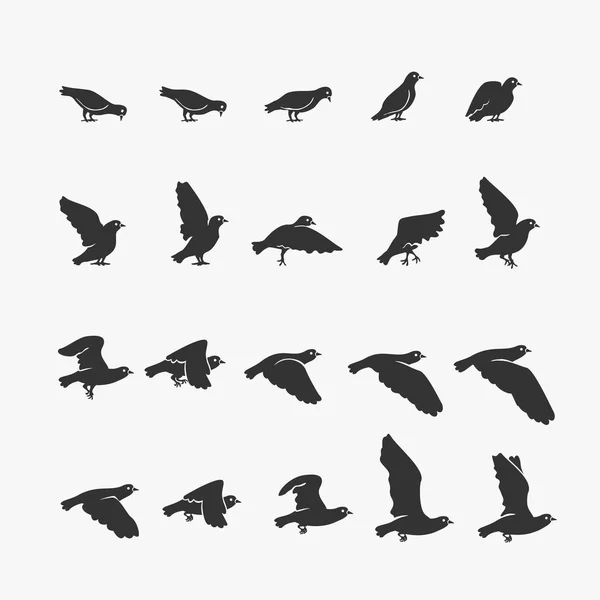 3d Bird Sprite Sheet
