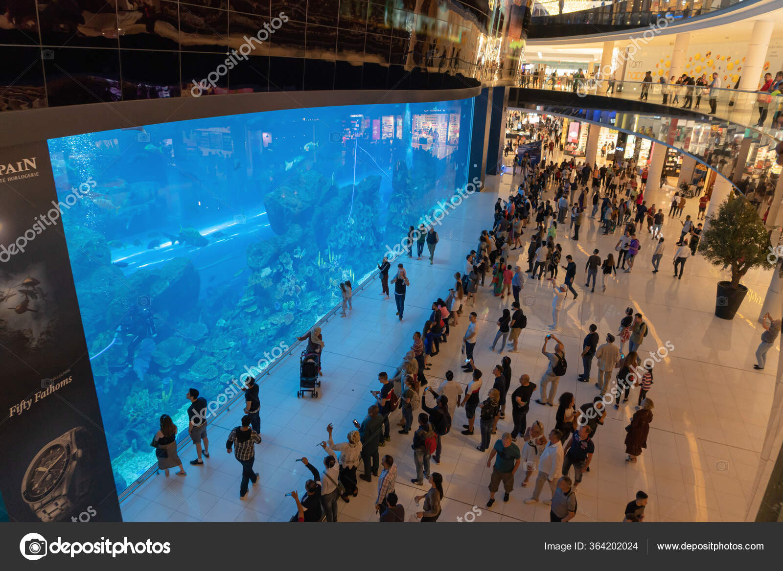 Acuario Del Centro Comercial Dubai Mall 2013 Tourist At Aquarium In