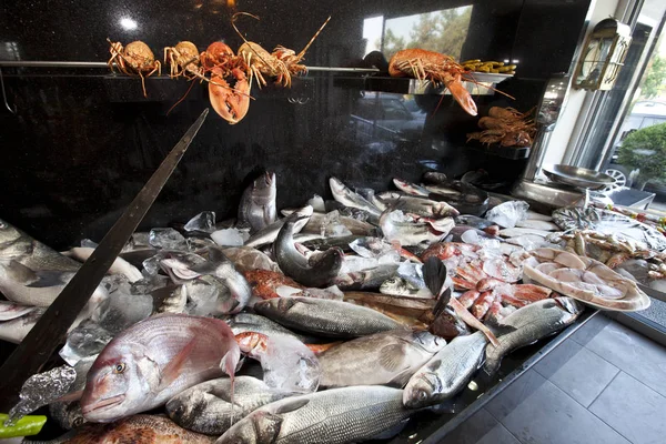 Fish kitchen Stock Photos, Royalty Free Fish kitchen Images | Depositphotos