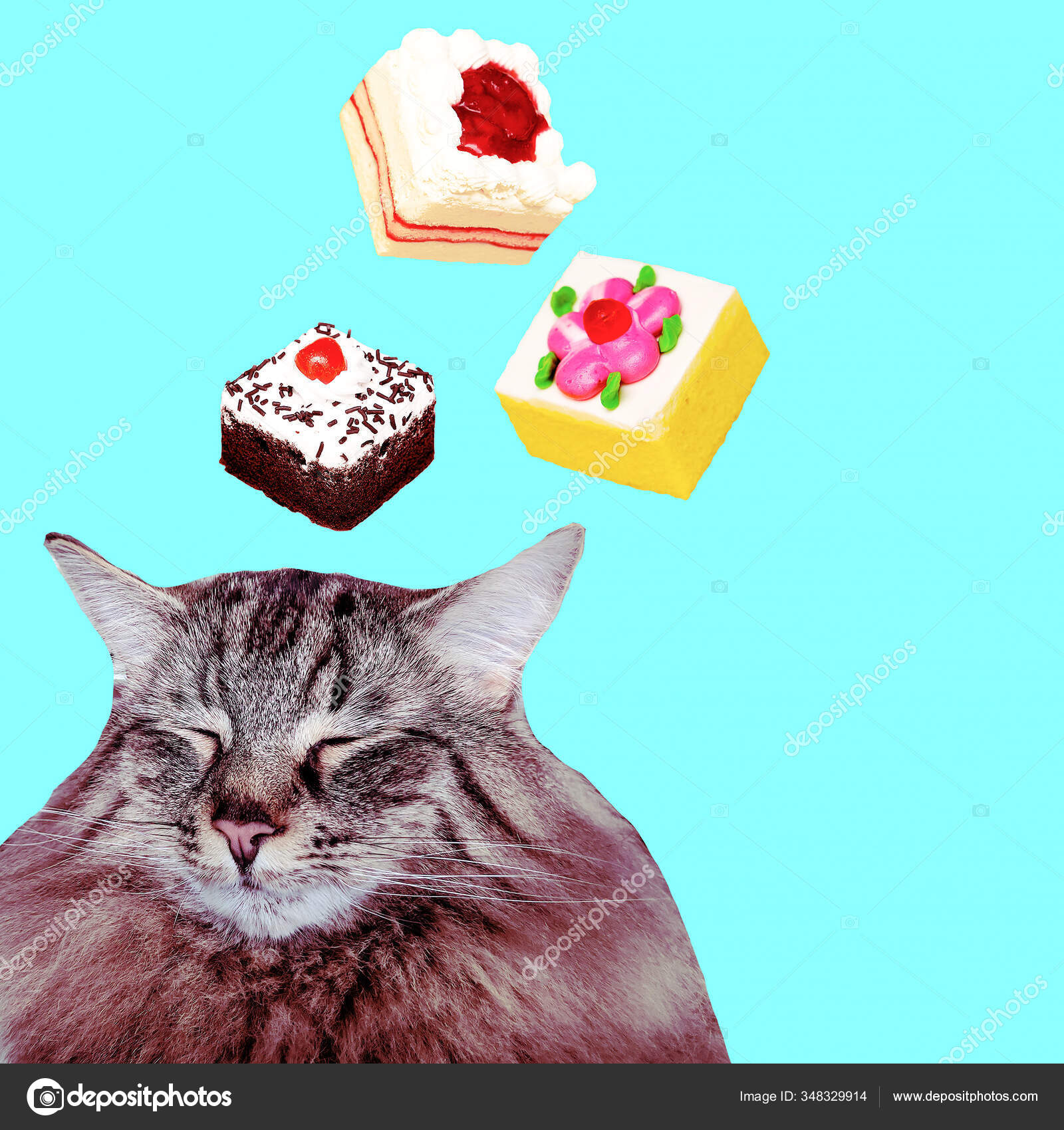 Contemporary Funny Art Collage Cat Dreaming Cakes Sweet Lover — Stock ...