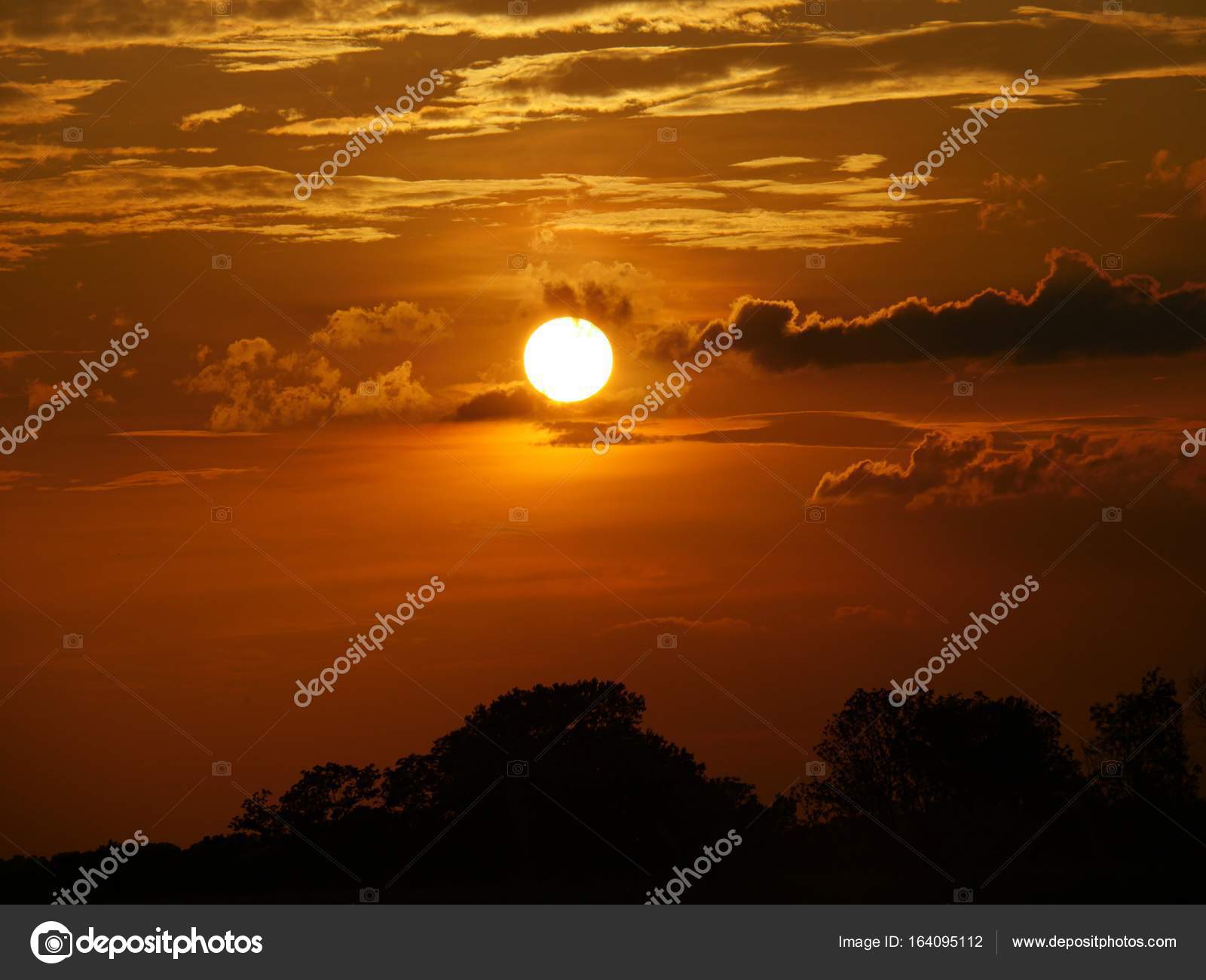 Big Sun Setting Horizon Backdrop Flaming Orange Skies Silhouettes Trees ...