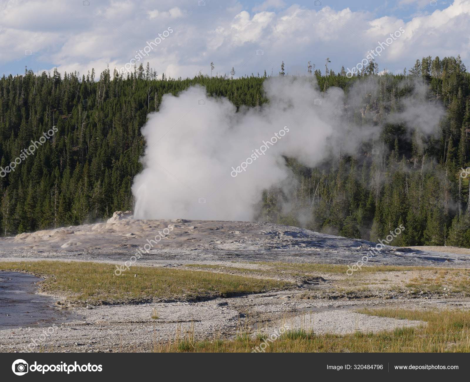 Scalding Water Steam Spurts Out Old Faithful Geyser Early Morning ...