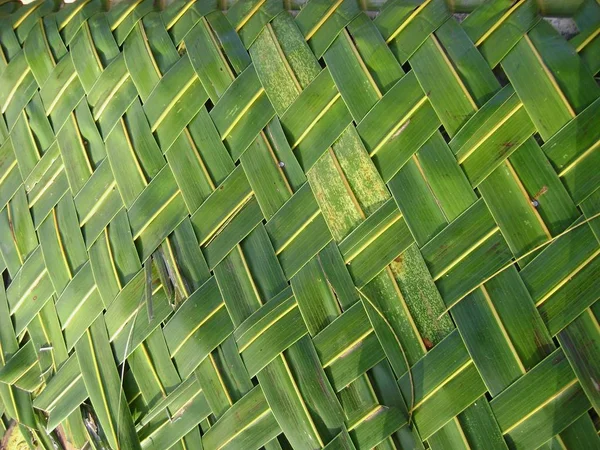 Coconut leaf mat weaving | Coconut leaf mat background — Stock Photo ...