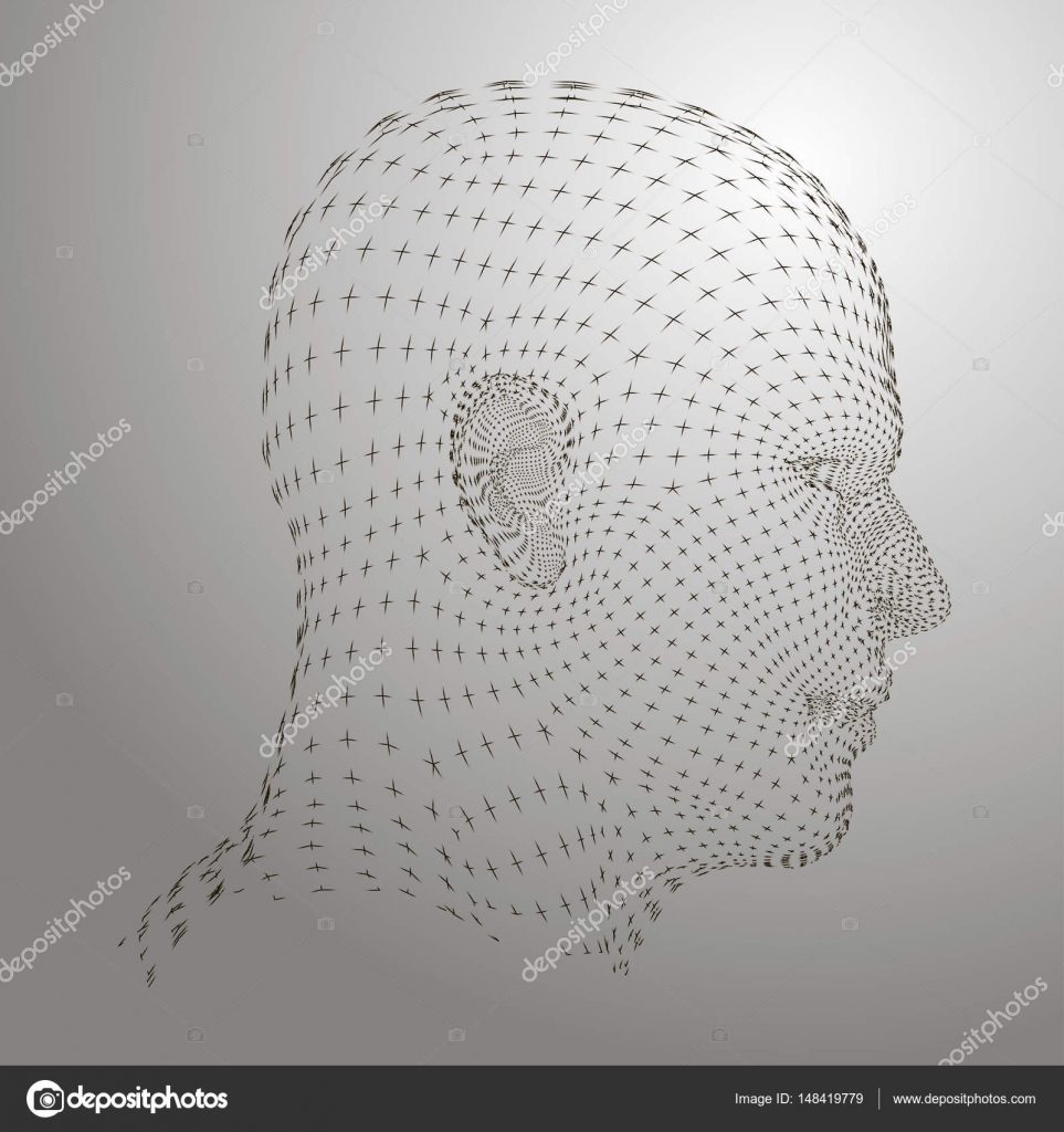 3d Grid man head model. Vector Illustration. Stock Vector Image by ...