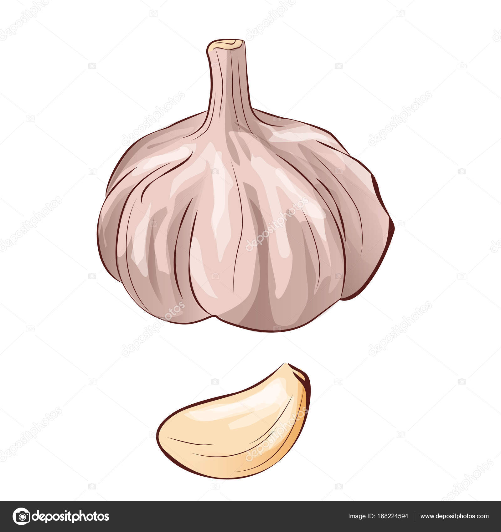 Garlic Cartoon Images