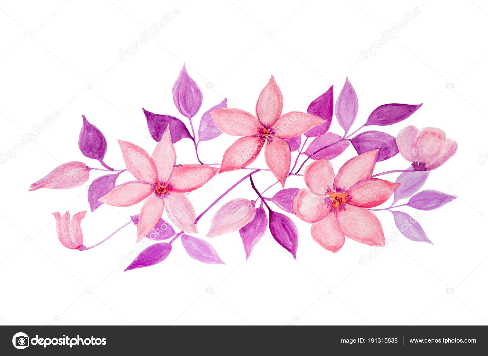 Pink Flowers Watercolor White Background Stock Illustration by ...