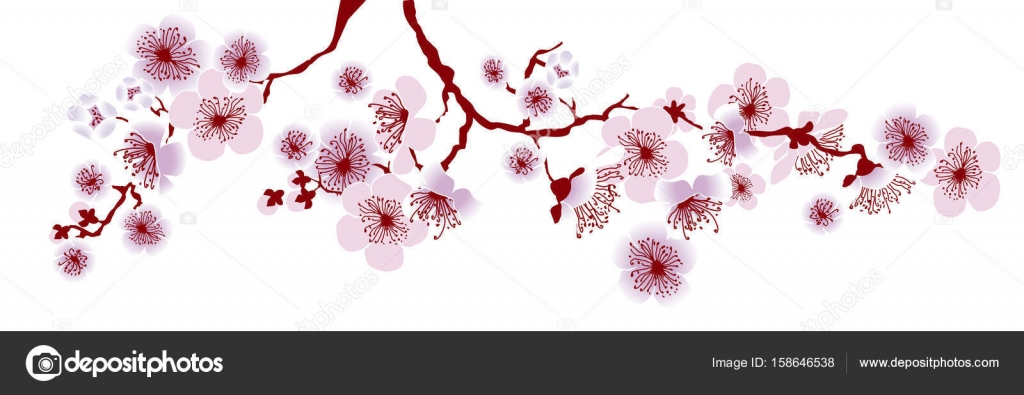 Vector illustration of decorative sakura branch. floral pattern for ...