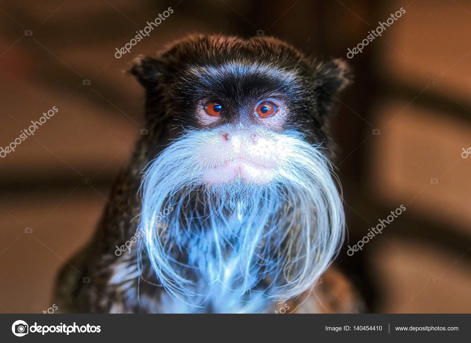 Emperor Tamarin