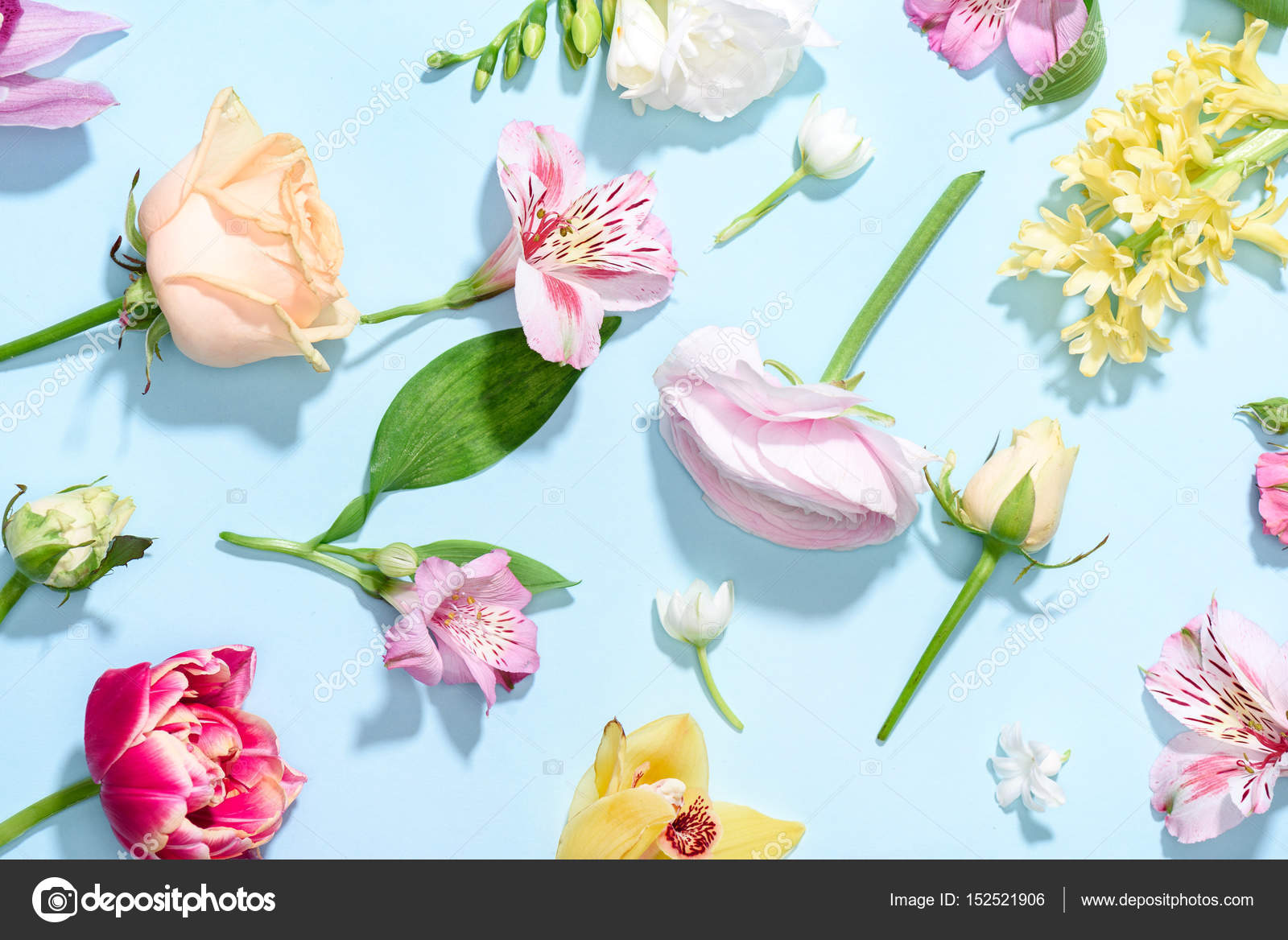 Beautiful blooming flowers — Stock Photo © K.Klimenko #152521906