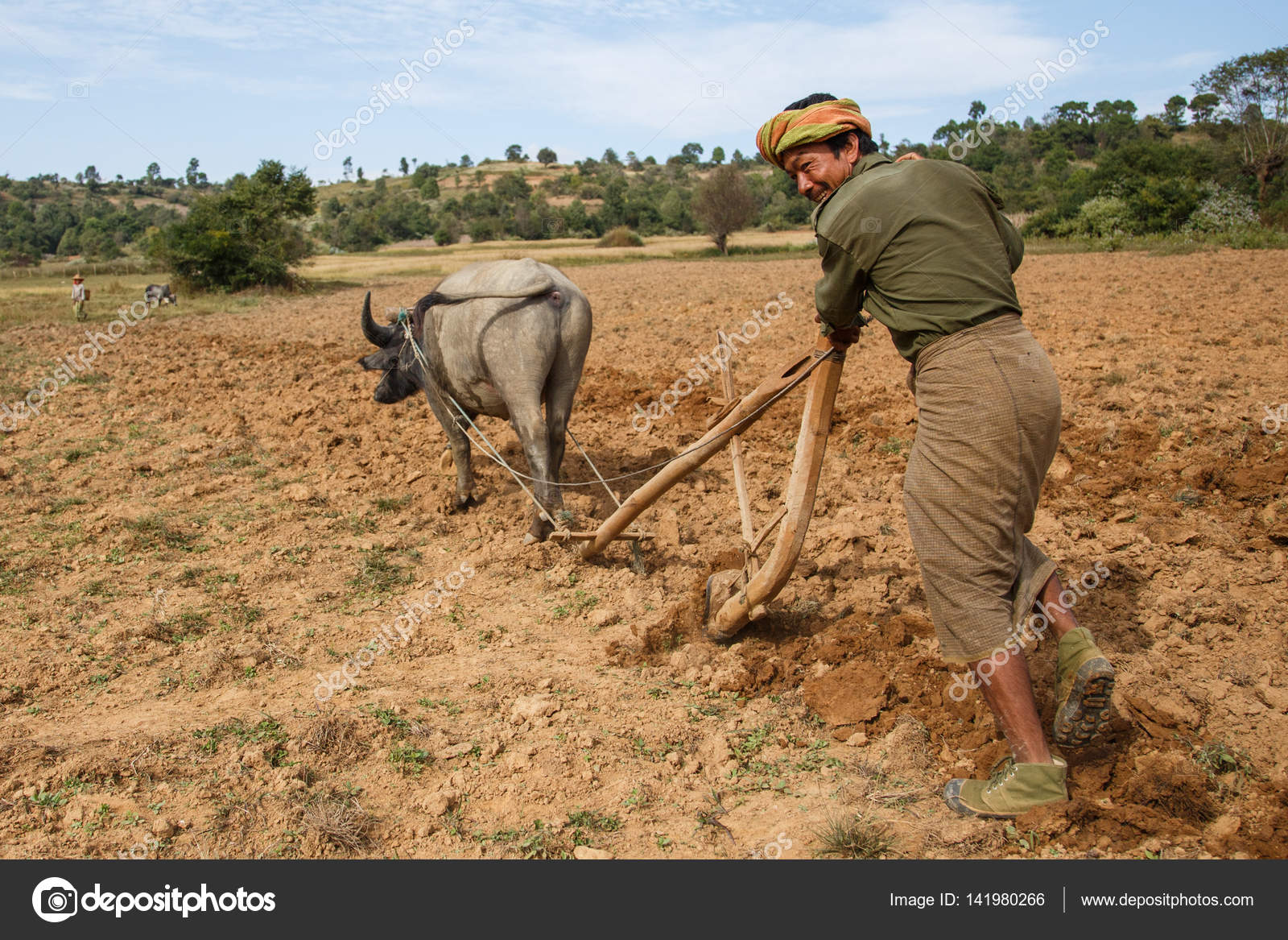 Campo de trabajo y arado del hombre — Foto editorial de stock ...