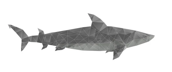8,860,044 Polygon illustration shark Vector Images | Depositphotos