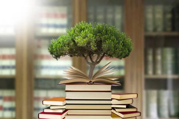 Open book tree Stock Photos, Royalty Free Open book tree Images ...