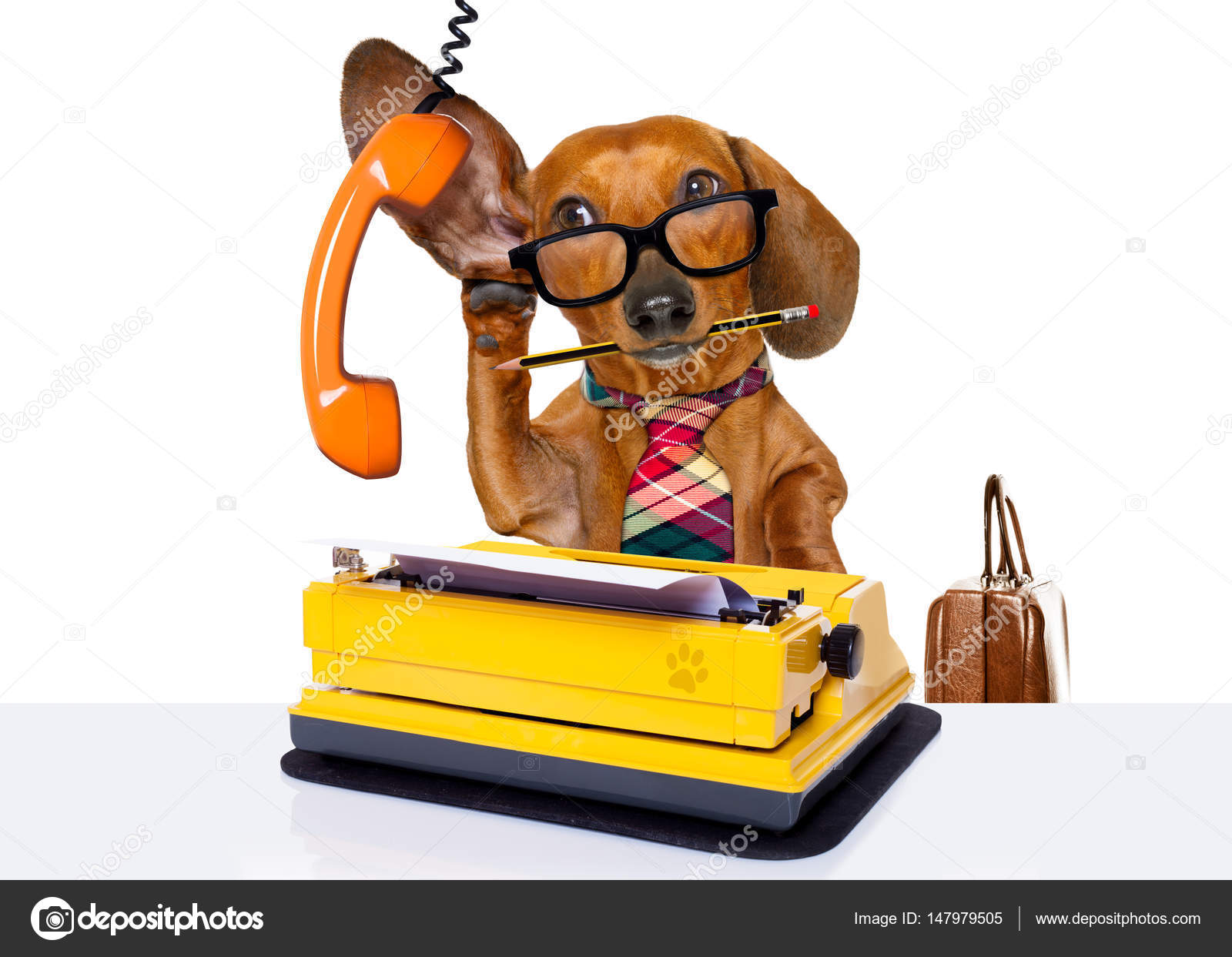 Office worker boss dog Stock Photo by ©damedeeso 147979505