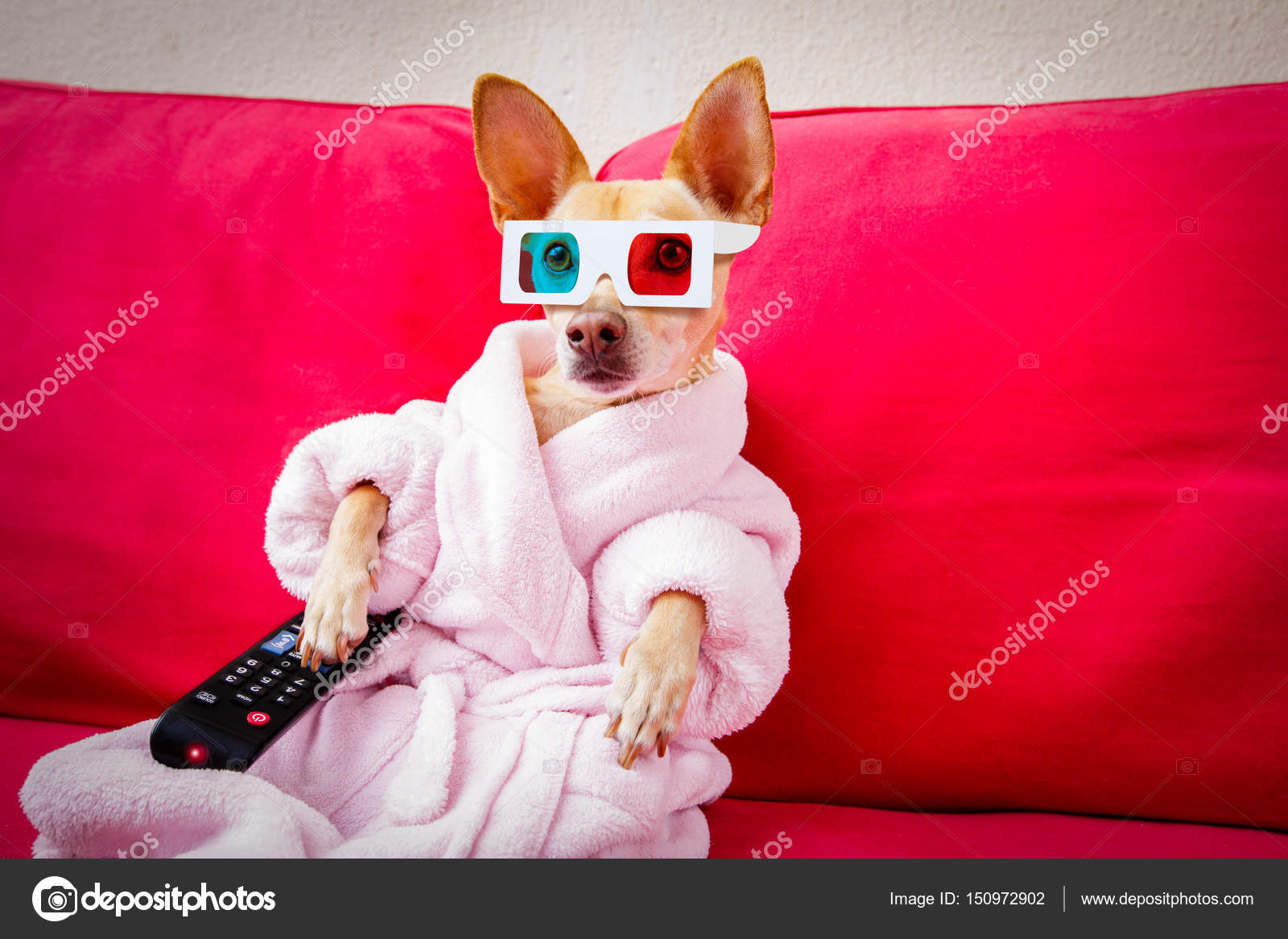 perro viendo tv en el sofá — Foto de stock © damedeeso #150972902