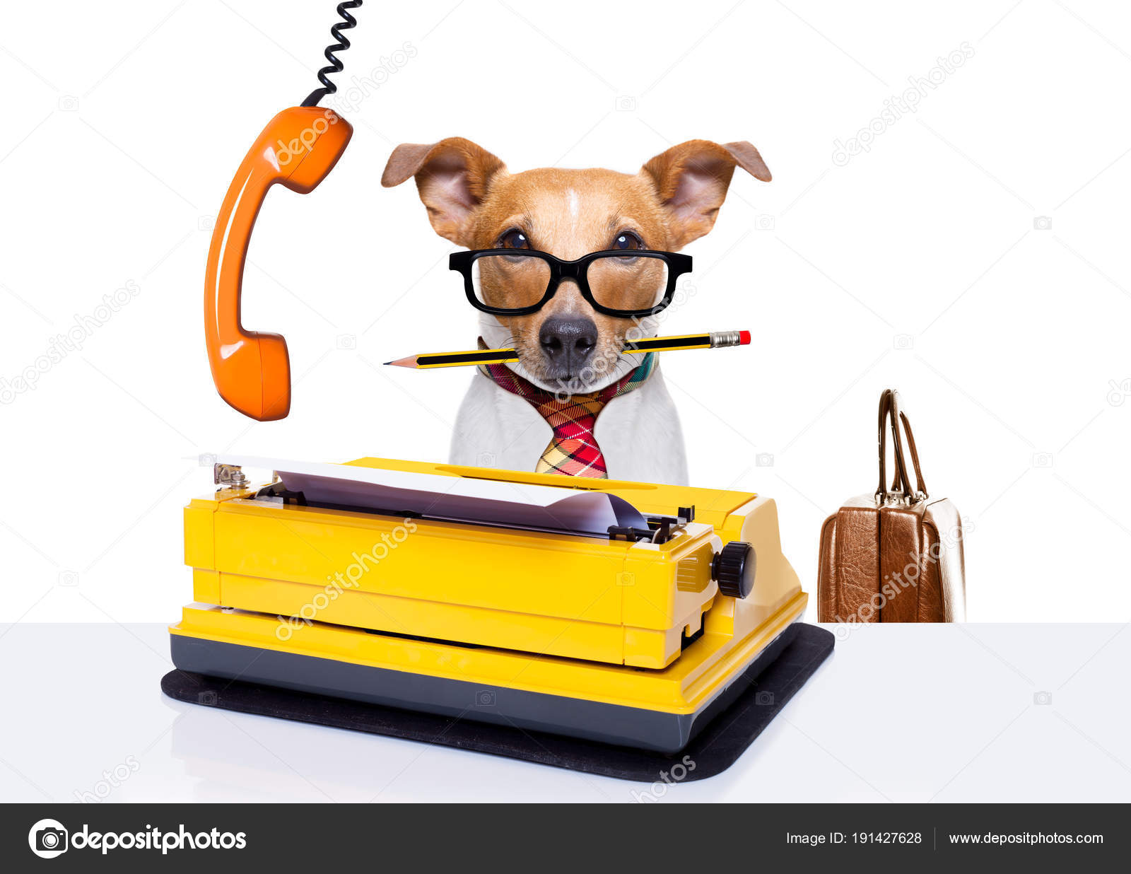 Office worker boss dog Stock Photo by ©damedeeso 191427628