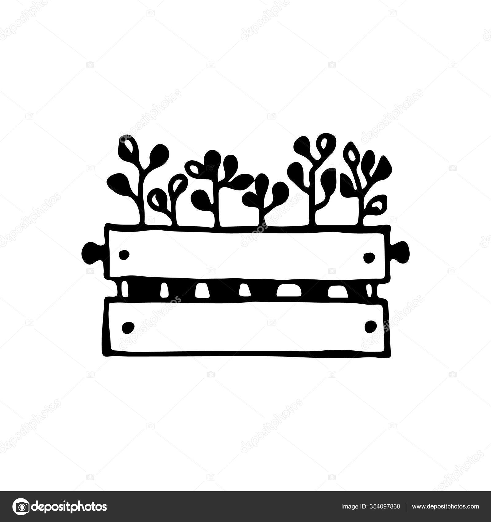 Black White Image Box Seedlings Vector Illustration Hand Drawn Doodle ...