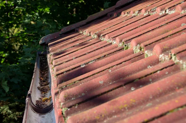 Dirty roof Stock Photos, Royalty Free Dirty roof Images | Depositphotos