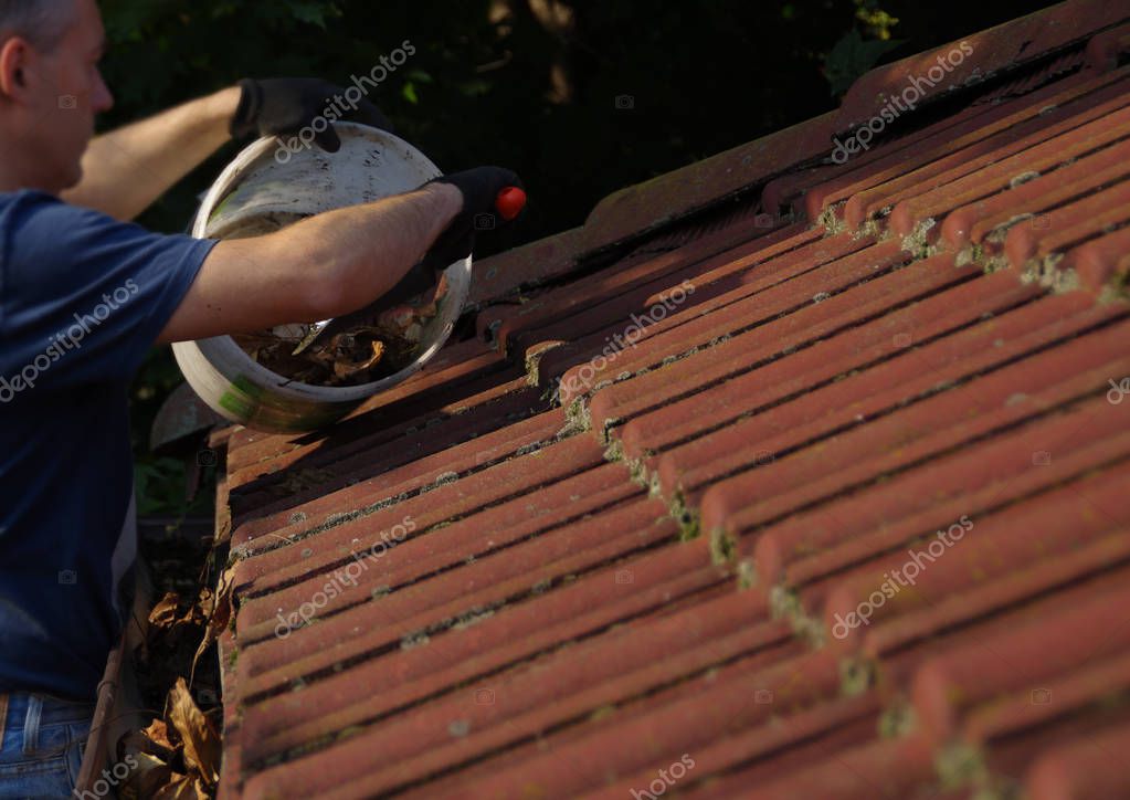 Limpiando techo y canalón 2024