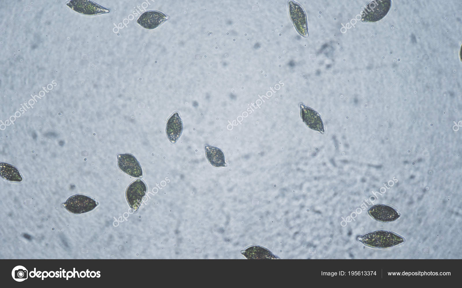 Molecules flow under the microscope. Stock Photo by ©DIProduction 195613374