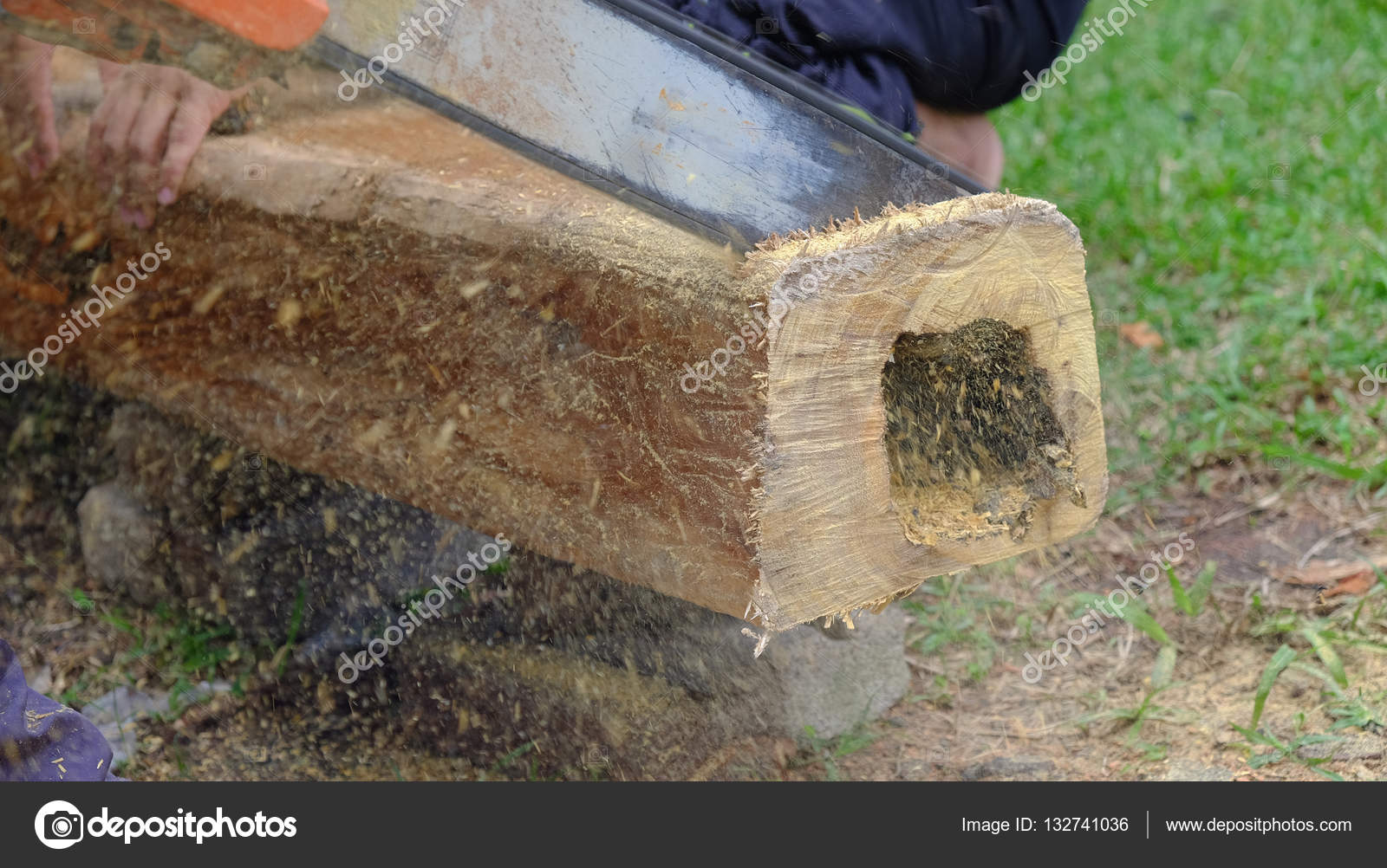 Professional Chainsaw Blade Cutting Log Wood — Stock Photo © shahreen ...