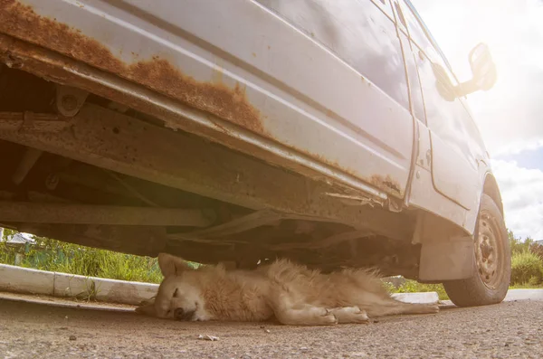 Ahu Stock Photos, Royalty Free Ahu Images | Depositphotos®