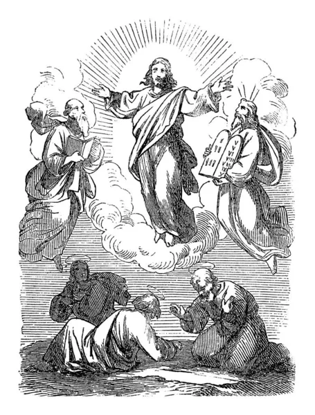 14 Elijah the prophet Vector Images | Depositphotos