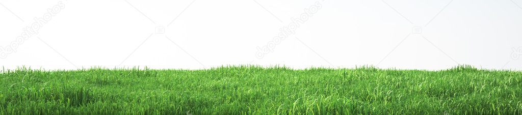 Field of soft grass, perspective view with close-up — Stock Photo ...
