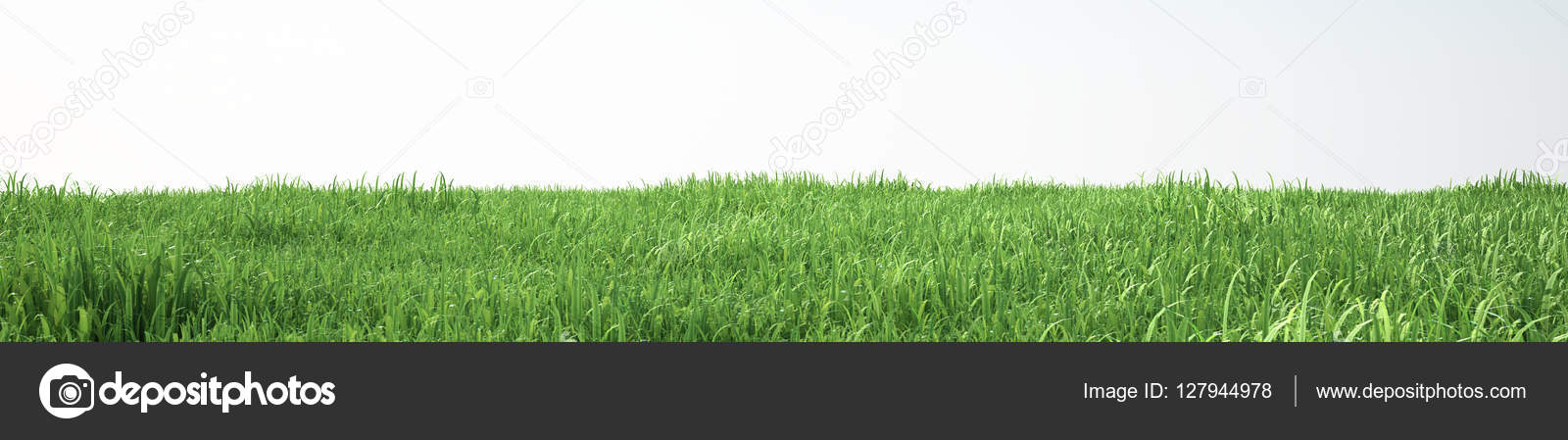 Field of soft grass, perspective view with close-up Stock Photo by ...