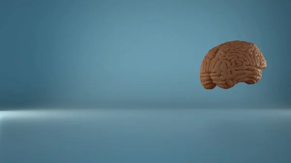 Human floating brain on white background, human intelligence concept ...