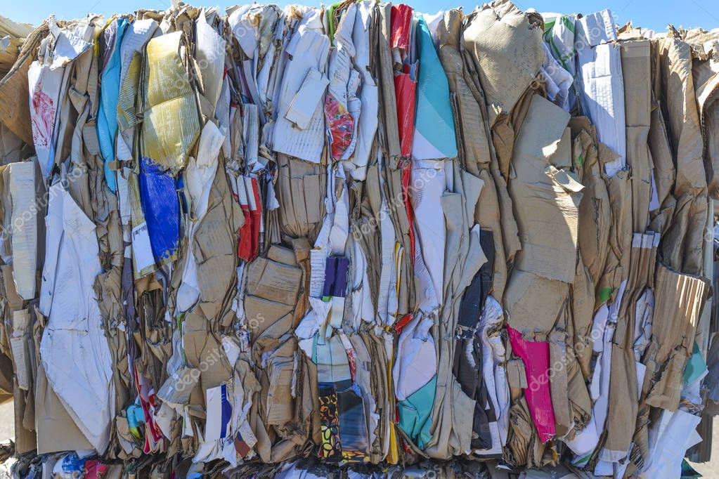 papel y cartón prensados en filas para su posterior reciclado 2022
