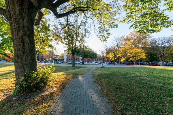 Patterson Park During Autumn in Baltimore, Maryland Stock Photo by ...
