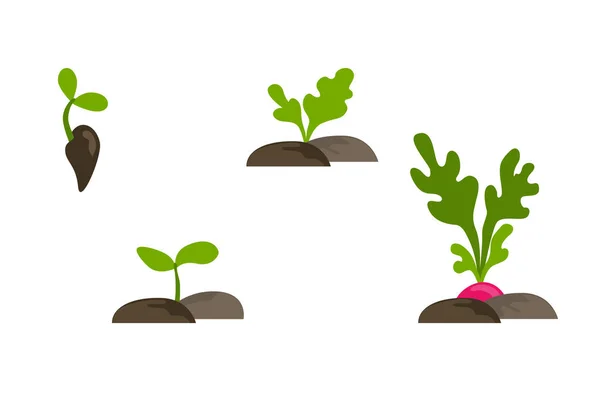 100,000 Perkebunan Vector Images | Depositphotos